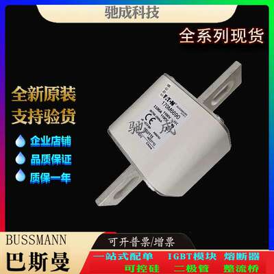 巴斯曼170M6690 170M6691 170M6692 厂家原装优价供应 原装熔断器