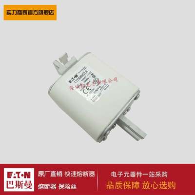 熔断器170M8629 170M8630 170M8631 170M8632 170M8633 170M8634