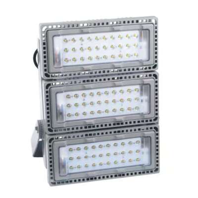 乐清大浪 NTC9280-110W LED投光灯，110W 冷白 单位：个