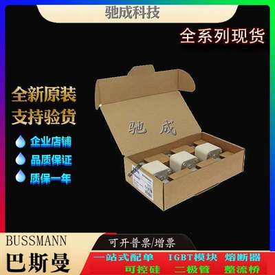 巴斯曼170M4204 170M4208 170M4209 加工制作量大价优 方体熔断器