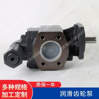 KF6LF1-D15 KF8LF1-D15 KF10LF1-D15涡轮机制造油泵 替换克拉克