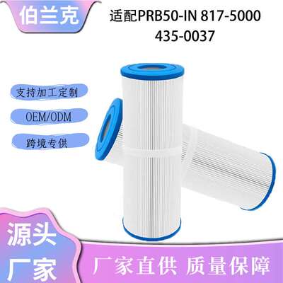 跨境适用泳池滤芯PRB50-IN R173434  817-5000温泉泳池浴缸过滤器