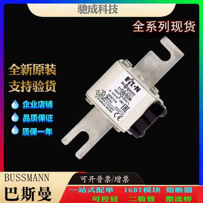 巴斯曼170M4366 170M4367 170M4368 大量现货价格优惠 快速保险丝