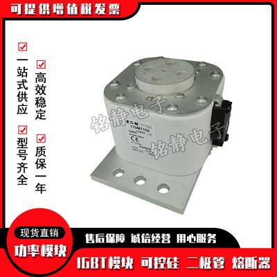 170M7118 170M7119 170M7120 170M7121 170M7122巴斯曼熔断器