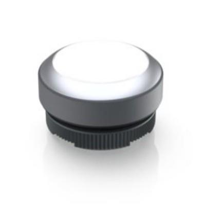 RAFIX 22 FS+发光按键，平灯罩，圆形卡圈, 触感的, 前圈 银金属