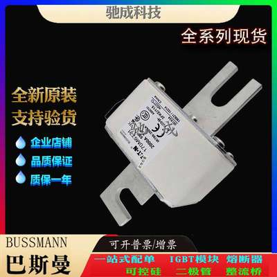 巴斯曼170M6778 170M6779 170M6780 现货直销零售  快速保险丝