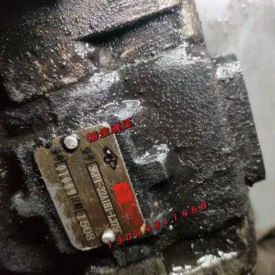 天津S5S-HG齿轮泵137H1L-32C泵液压泵岛津P液压油A1T