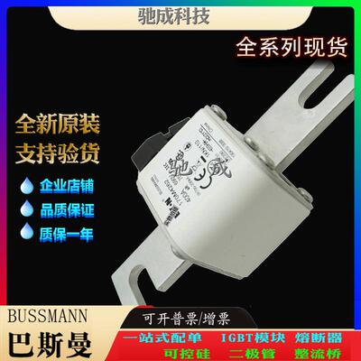 巴斯曼170M4262 170M4263 170M4264 长期销售价优 原装熔断器