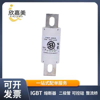 FWP-200A FWP-300A  快速熔断器  保险丝 电子元器件 量大价优