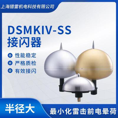 nvent erico艾力高 DSMKIV-SS接闪器SI避雷针接闪杆提前放电避雷