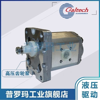 意大利Galtech齿轮泵 1SP-A-009 012 016 020 025 032-EUR SAEAA