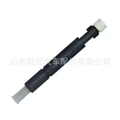 喷油器总成 04286251 0428-6251 道依茨BFL2011