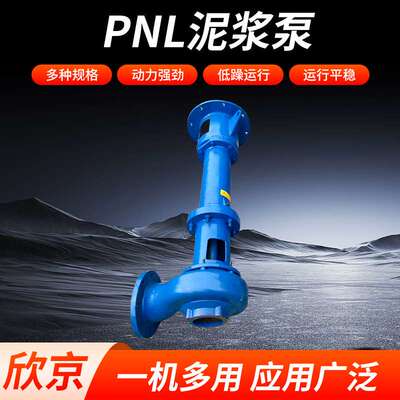 PNL泥浆泵 立式铸铁液下泵离心泵污水泵抽粪淤泥泵打井勘探液下泵