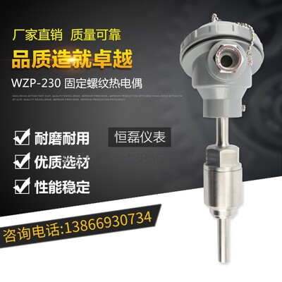 WZP-230/WZP-231/PT100铂热电阻/PT100温度传感器/固定螺纹热电偶