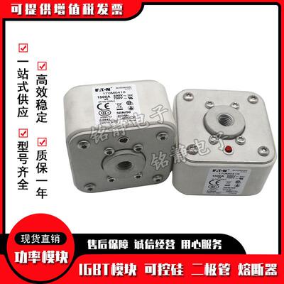 170M6418 170M6419 170M6420巴斯曼熔断器现货170M6421型号齐全