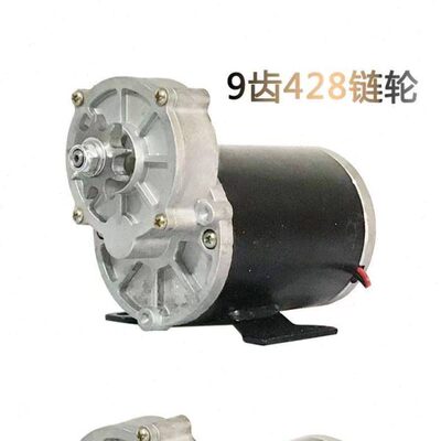 250刷电机速农业机流直轴化膨W电机专用减速机械电机长有12V可调