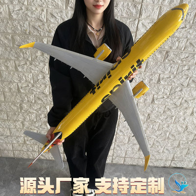 1:50空客A321neo彩绘飞机民航模型 大型桌面摆件展馆展厅广告88cm
