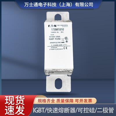 170M1810/1803/1804/1805/1806/1807/1808/1809/1810-熔断器