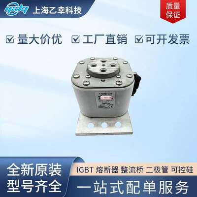 巴斯曼熔断器 170M7058 170M7059 170M7060 170M7061 170M7062