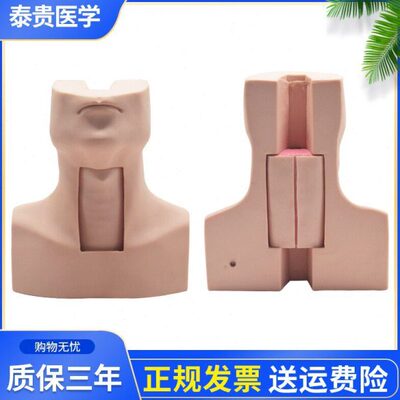 泰贵医学TG/J58高级环甲膜穿刺及气道切开插管训练模型