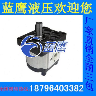 CBTt-F304/F306/F308/F310/F312/F314/F316/F320/F325F3P7齿轮泵