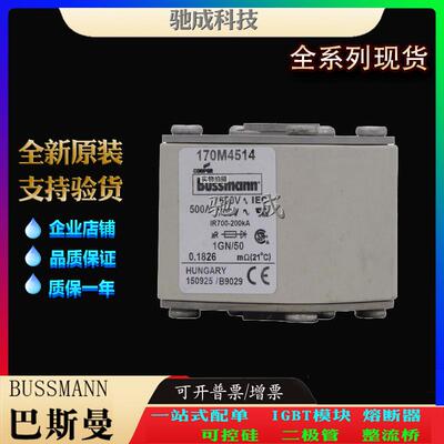 巴斯曼170M4514 170M4515 170M4516 大量现货价格优惠 方体熔断器