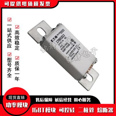 170M1740 170M1741 170M1742 170M1785 170M1786巴斯曼熔断器现货