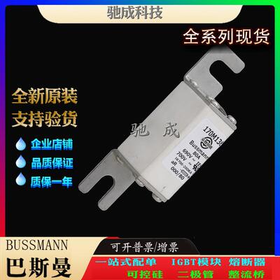 巴斯曼170M1365 170M1319 170M1509 现货直销销售价优 原装熔断器