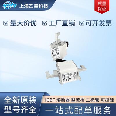 巴斯曼熔断器 170M3169 170M3170 170M3171 170M3172 170M3173