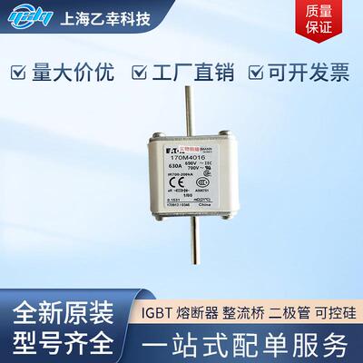 巴斯曼熔断器 170M4810 170M4811 170M4812 170M4813 170M4814