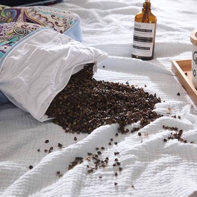 xyt老粗护布孔三孔耳枕F756967H老人耳枕纯荞麦壳枕头枕芯带枕头