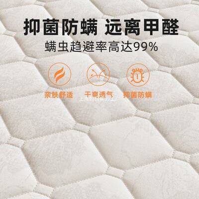 天然椰棕床人垫硬垫子家用床卧m室可折叠10c厚483棕榈垫租房用单