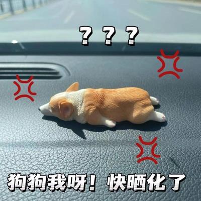 迷你小柯基汽车车载车内车内饰品摆件中控台解压装饰品屏幕内饰狗