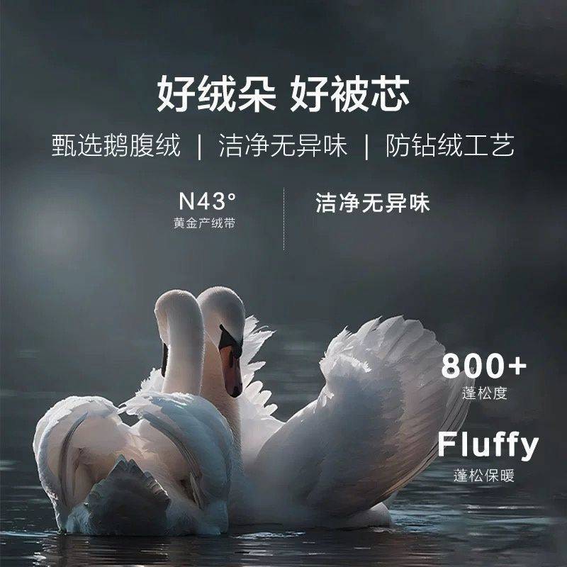 羽绒被95白鹅绒被子加厚冬季冬被保暖双人春秋被超软亲肤羽毛被芯