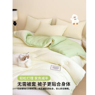 A类大豆纤维被子被芯暖YZY四季通用学单生舍春秋宿被保冬被双人棉