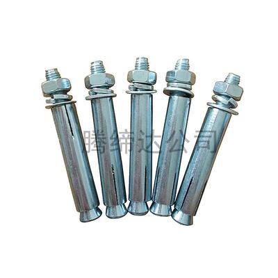 整箱铁膨胀栓RPW镀锌膨胀螺螺栓外六膨胀角螺栓加长螺金属膨胀栓