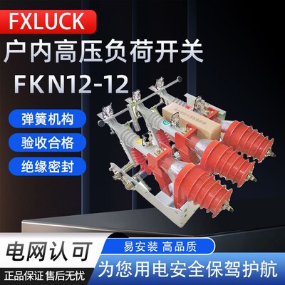 FKN12-12/630户内高压压气式负荷开关FN12-12RD电动手合电分FZN25