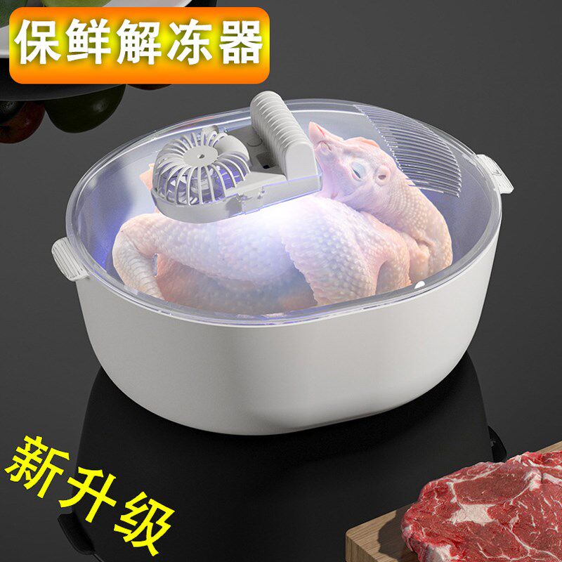 厨房冻肉类解冻j器食物解冻化冰机快速解冻保鲜盒牛排解冻除冰器