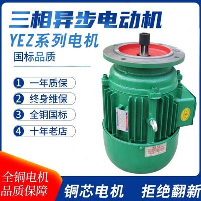 河南真牛YEZ112S-4 3.0KW 132S 4.5KW提梁机架桥机龙门吊行走电机