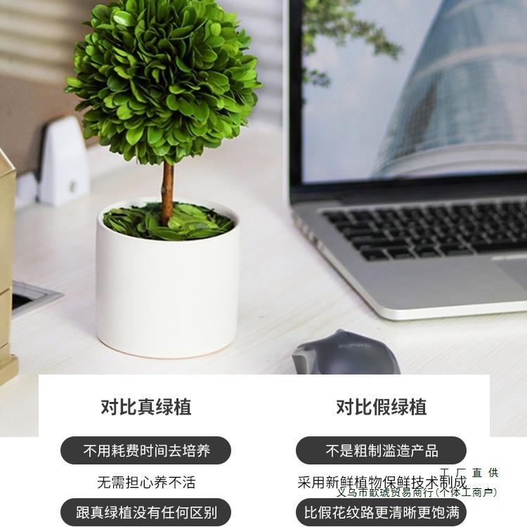 办公工位面植上班情绪F9675S85室稳定客绿厅旺宅植物小摆件家居装