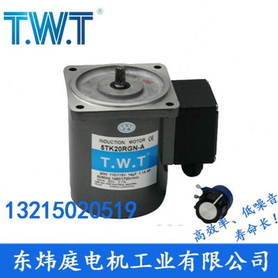 转矩马达 力矩电机2TK3GN-A 4TK10GN-A台湾TWT东炜庭齿轮减速电机