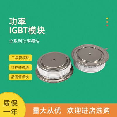 可控硅晶闸管T1866N18TOF T186w6N20TOF T1866N22TOF T1329N18TOF