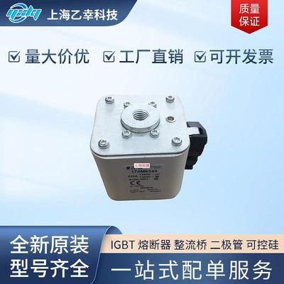 巴斯曼熔断器 170M6316 170M6317 170M6318 170M6325 170M6338
