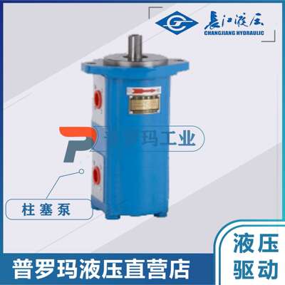 长江齿轮泵CMK1004/1006/1008/1010/1012/1016/1020/25-B4D-439LR