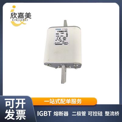 170M6145 170M6142 快速熔断器 保险丝 电子元器件 量大价优