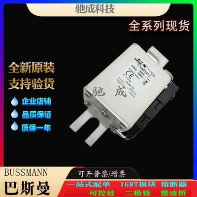 巴斯曼170M5929 170M5930 170M5931 加工制作量大价优 方体熔断器