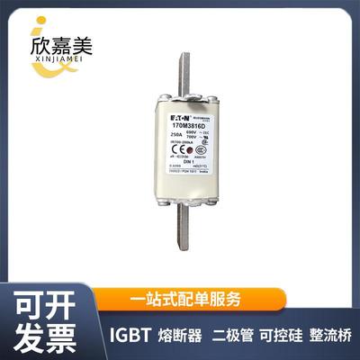 170M3816D 170M3817 快速熔断器 电子元器件 库存充足 量大价优