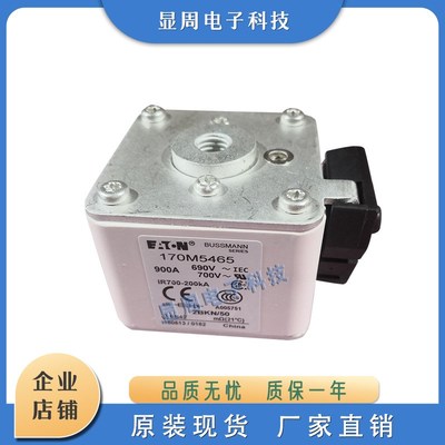 熔断器保险丝170M5449/5452/5458/5459/5460/5461/5462/5463