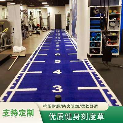 健身房人造草坪 私教区假草坪仿真草坪 跑道刻度白线人工草皮