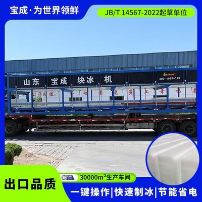 宝成全自动直冷式冰块机大型块冰机大冰块制冰机制冰机器商用